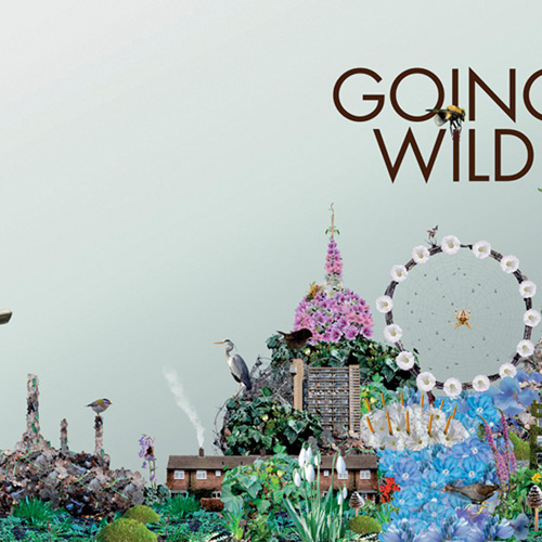 Going Wild - Design Week
