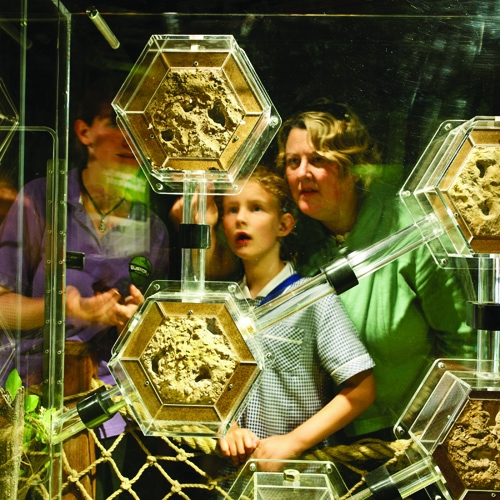 News in Pictures - Design Week