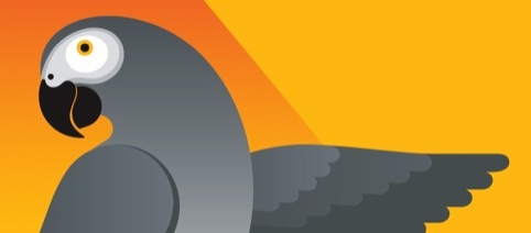 New African airline FastJet features parrot identity - Design Week