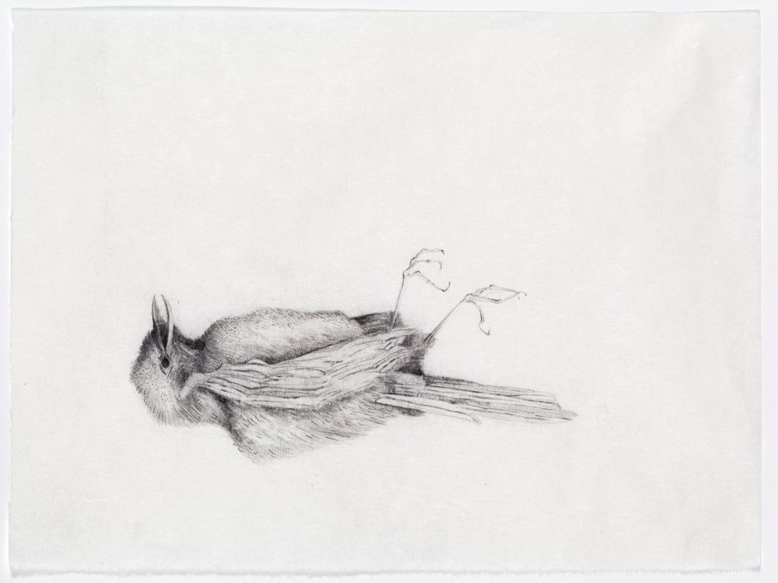 Ballard’s House Clearance - Design Week