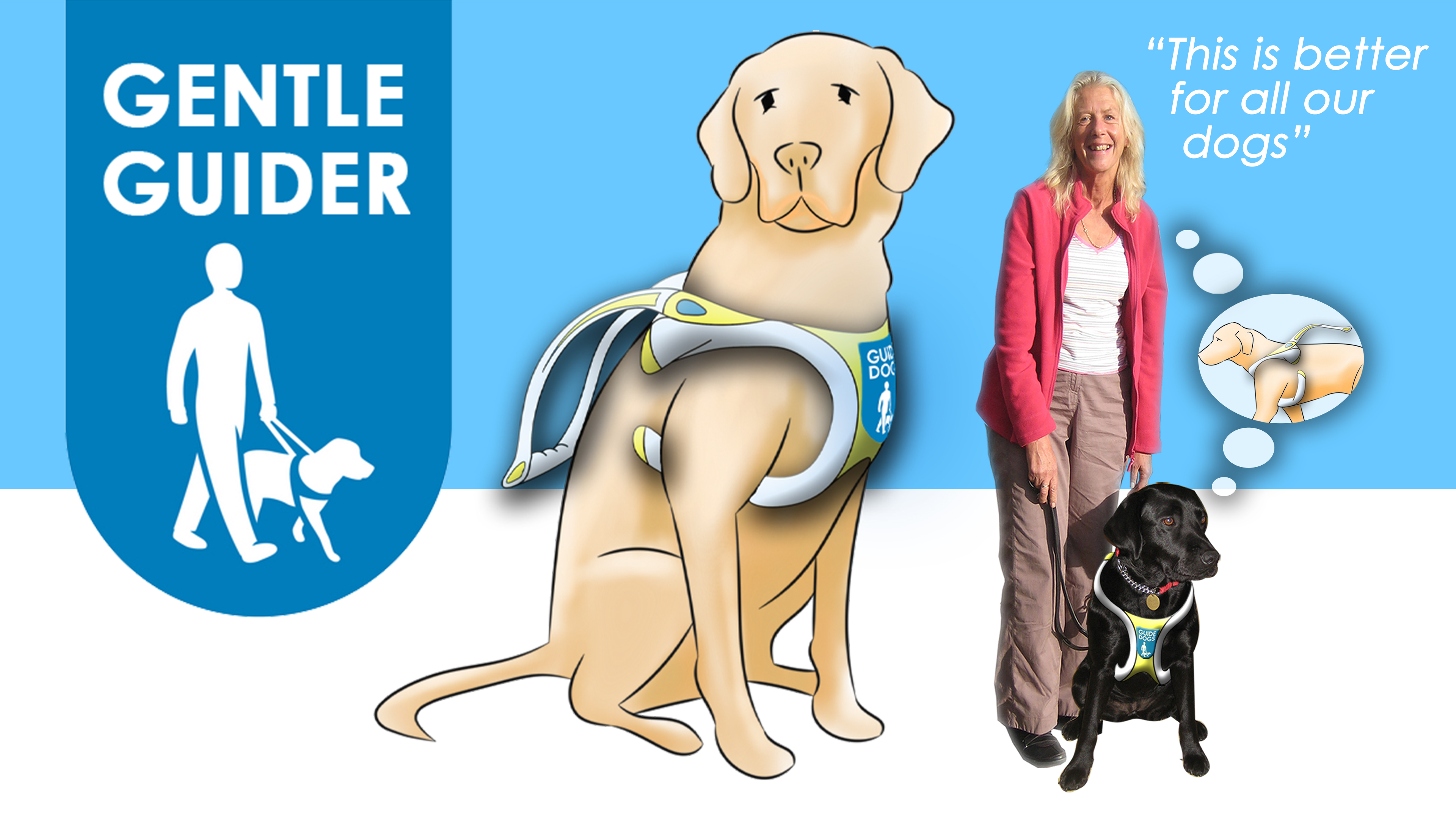 Beeswax packaging and guide dog harness redesign among RSA student ...