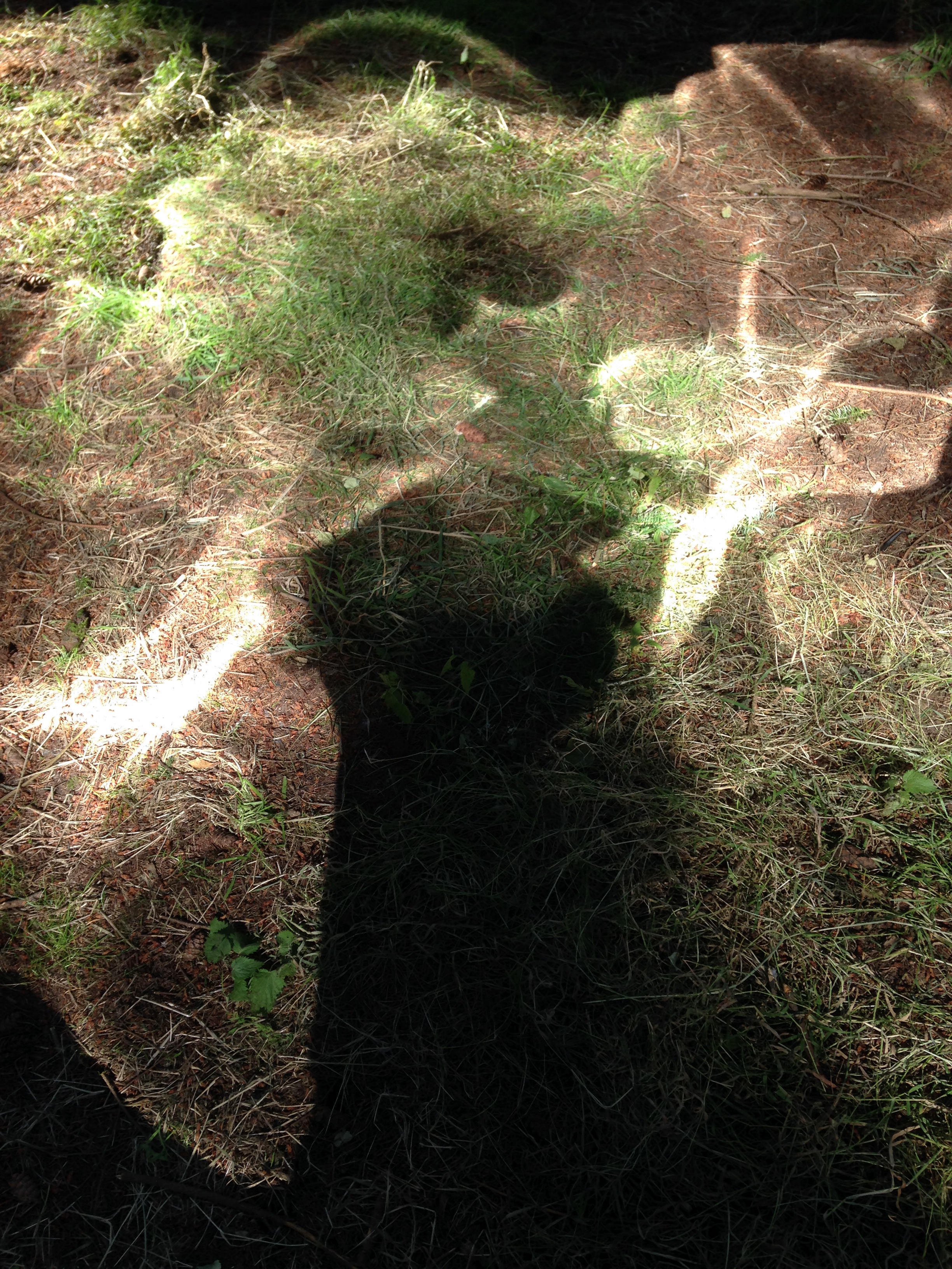 Panopticon style surveillance at Latitude - Design Week