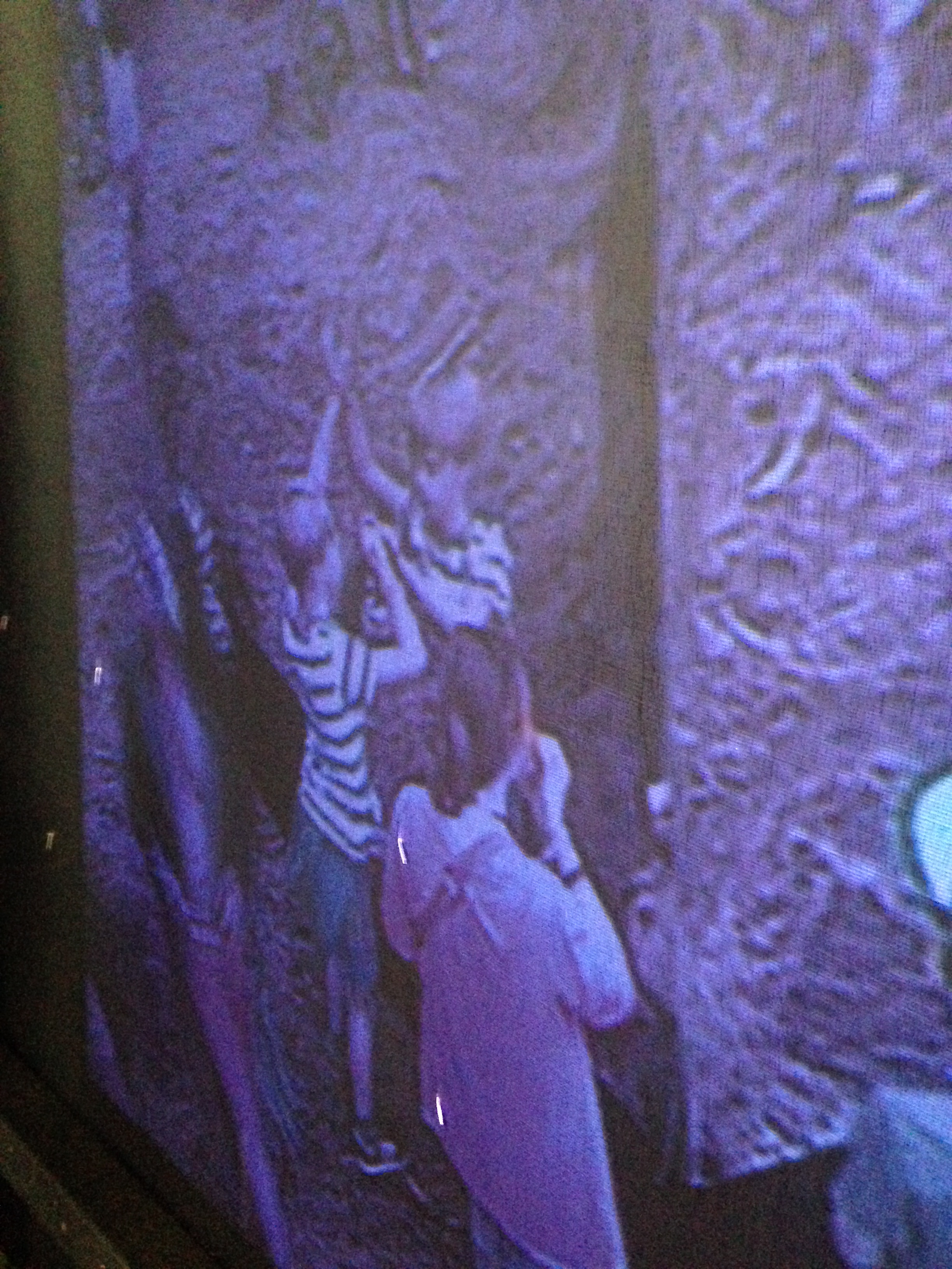 Panopticon style surveillance at Latitude - Design Week