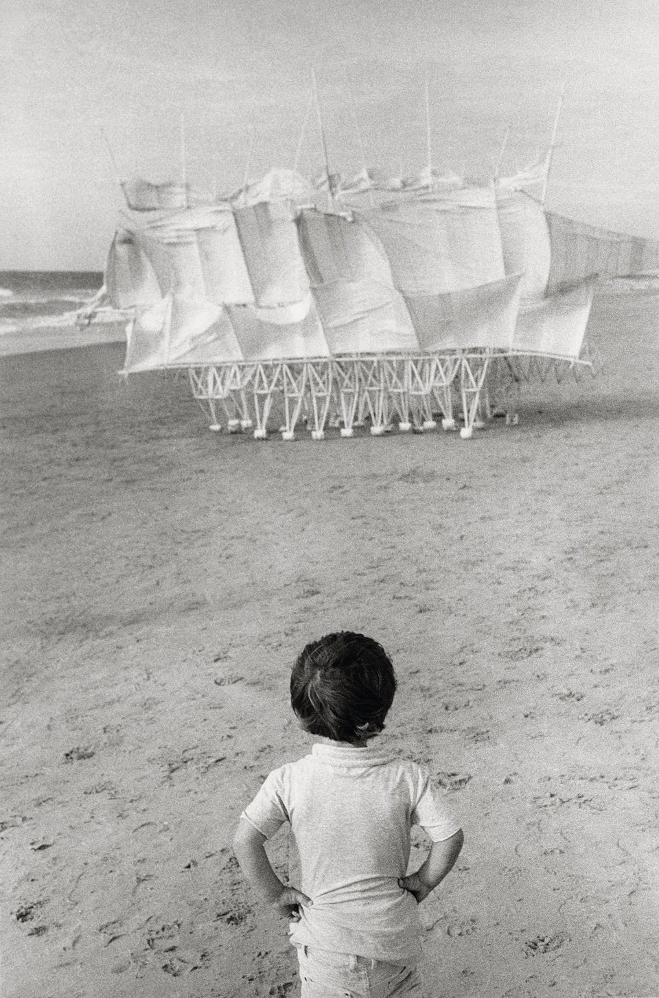 The Strandbeests are alive… - Design Week