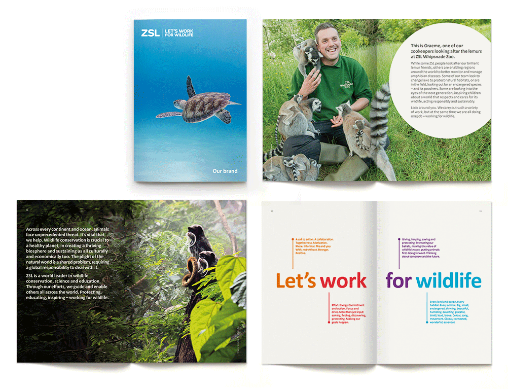 New look for ZSL and “Let’s Work for Wildlife” positioning - Design Week