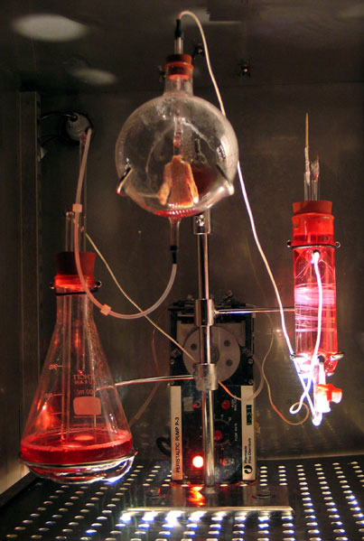 “We will introduce contestable design into the long history of design ...