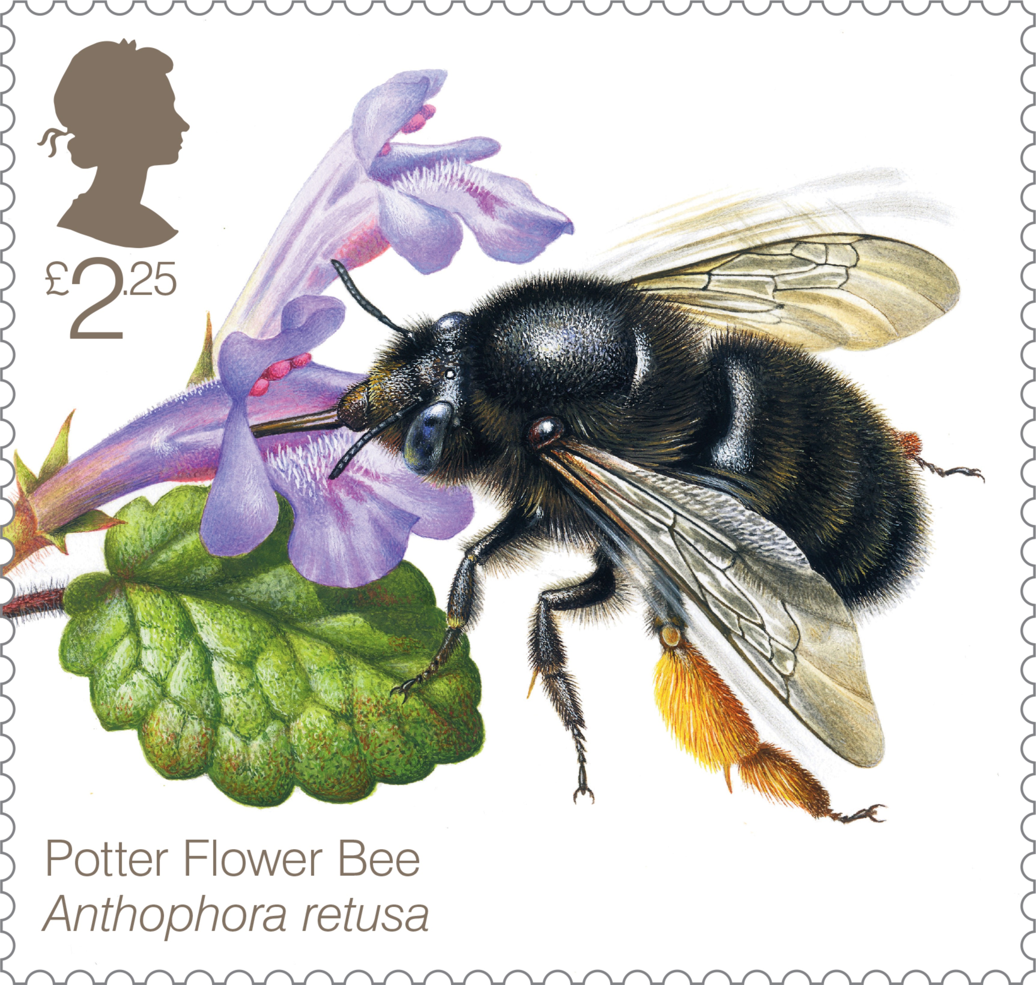 Royal Mail bee stamps designed to raise awareness of species - Design Week
