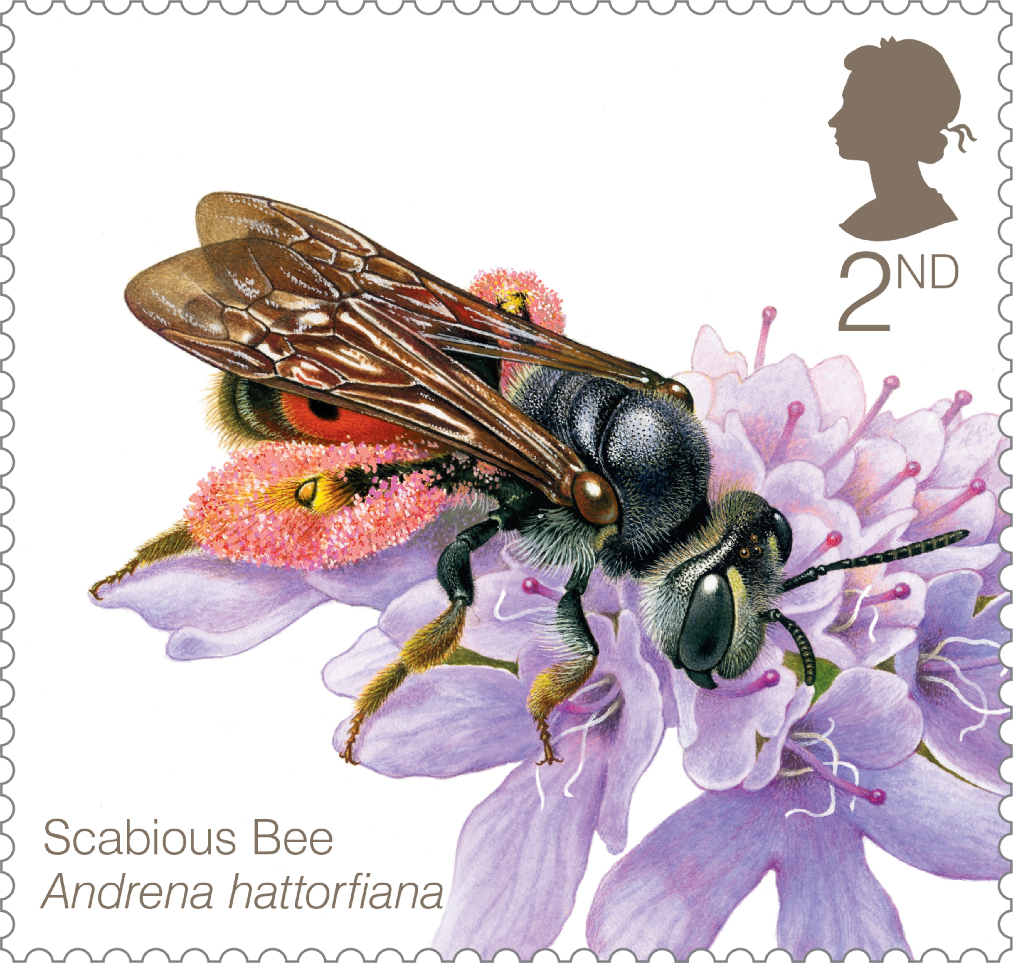 Royal Mail bee stamps designed to raise awareness of species - Design Week