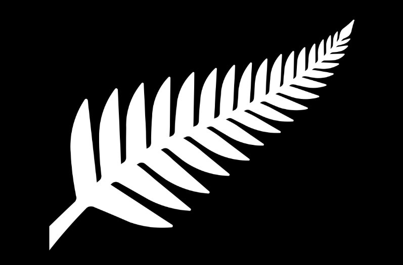New Zealand crowdsources designs for next flag – final proposals ...
