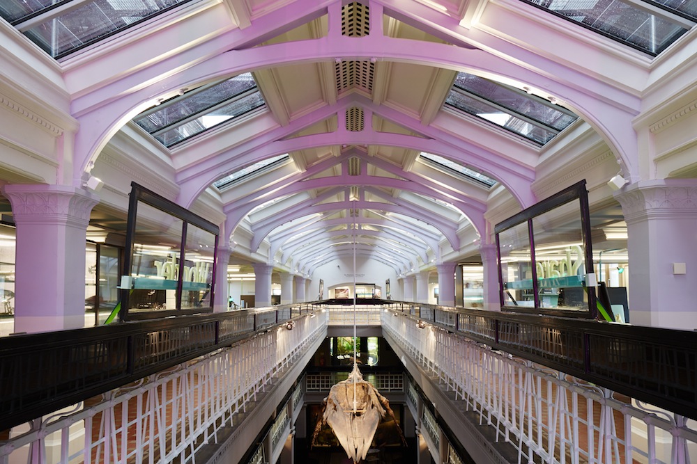 Manchester Museum