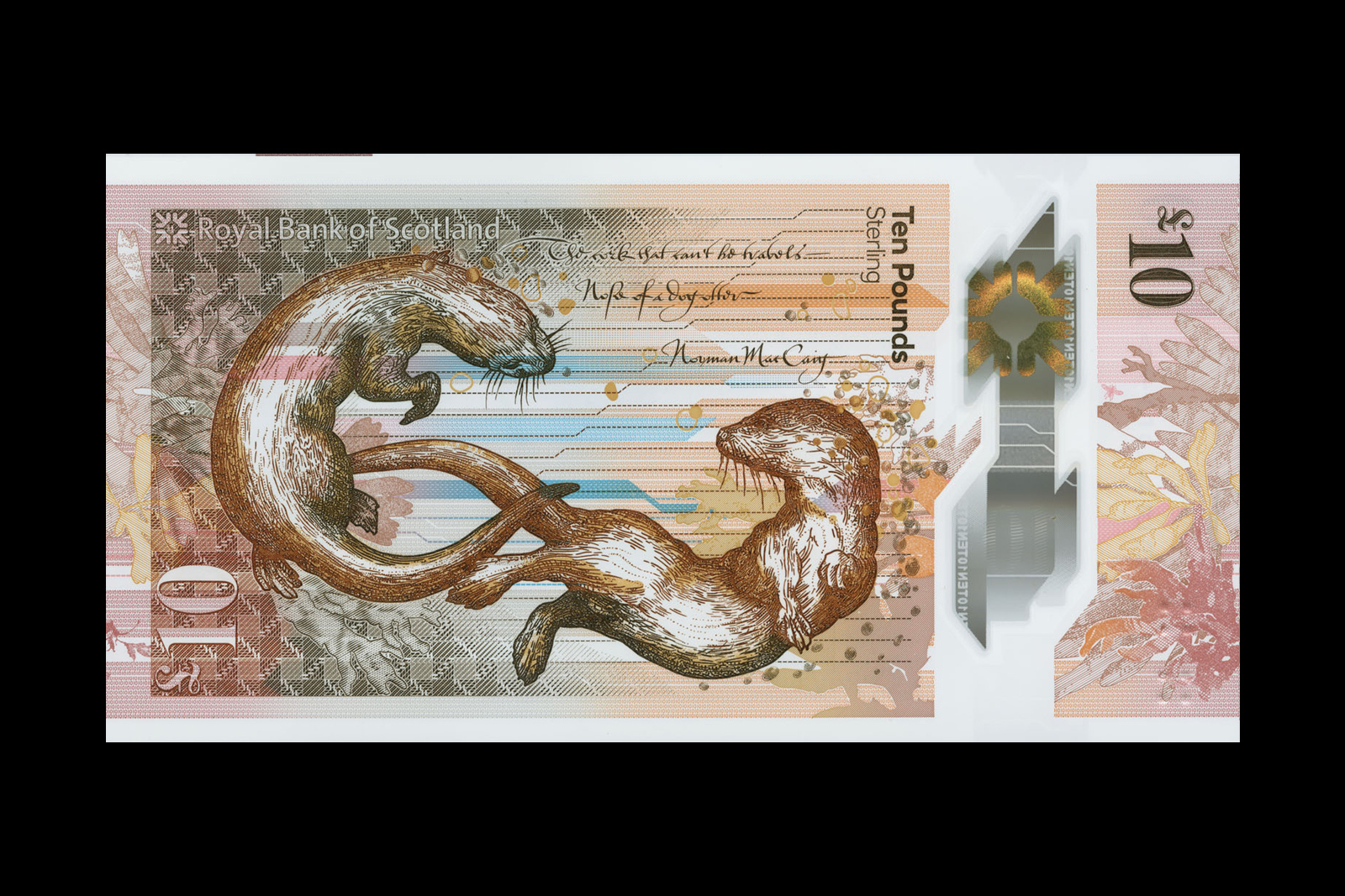 How “Fabric of Nature” Scottish bank notes were designed - Design Week
