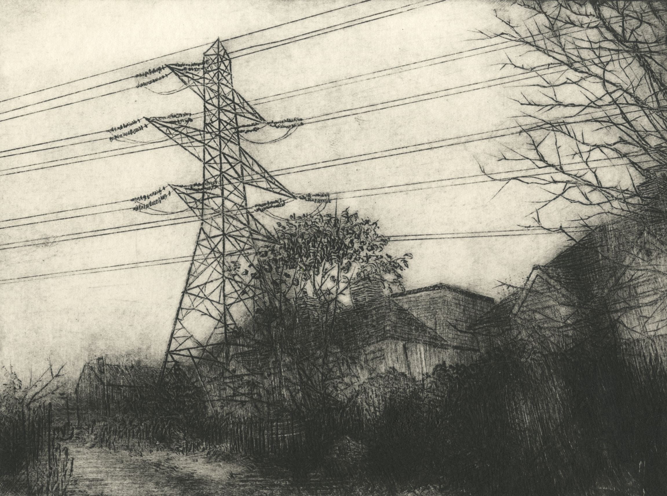 V&A reveals Illustrator of the Year winners - Design Week