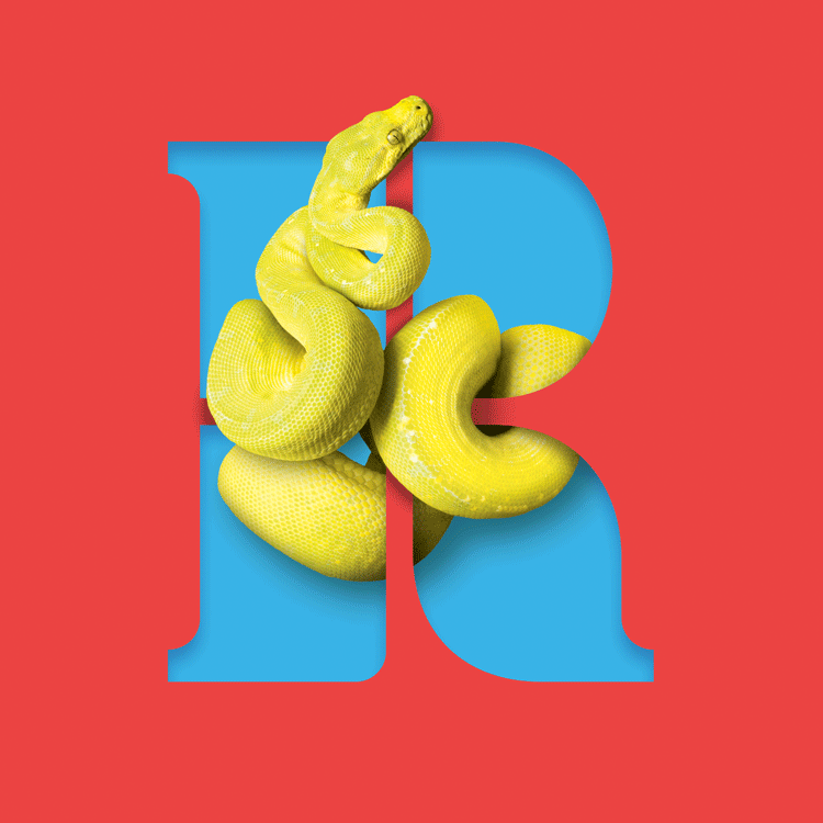 University of Roehampton rebrands to be more “contemporary” - Design Week