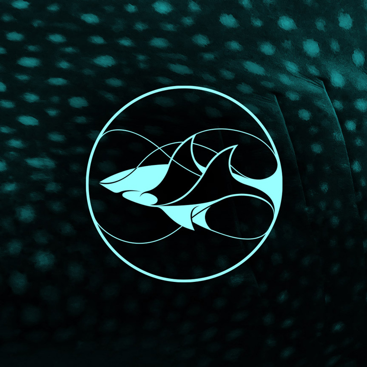 Leonardo DiCaprio Foundation reveals playful branding for wildlife ...