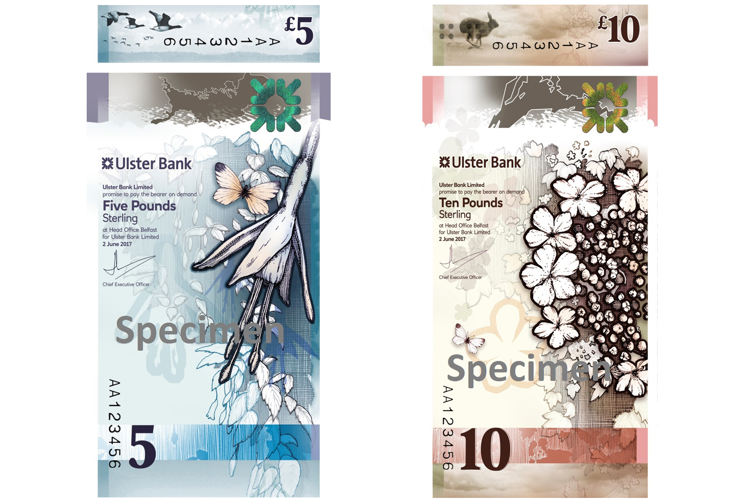 Designing Northern Ireland’s new vertical bank notes - Design Week