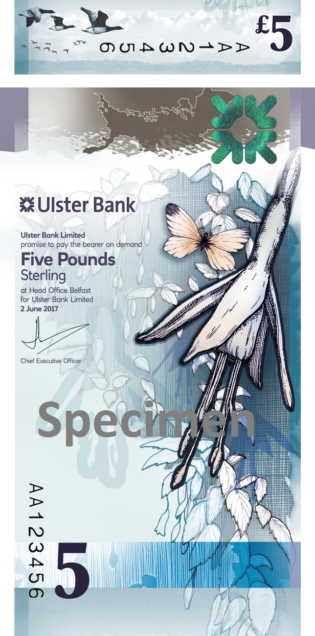 Designing Northern Ireland’s new vertical bank notes - Design Week