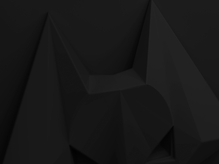 Wolves football club gets rebrand centred on 3D wolf head - Design Week