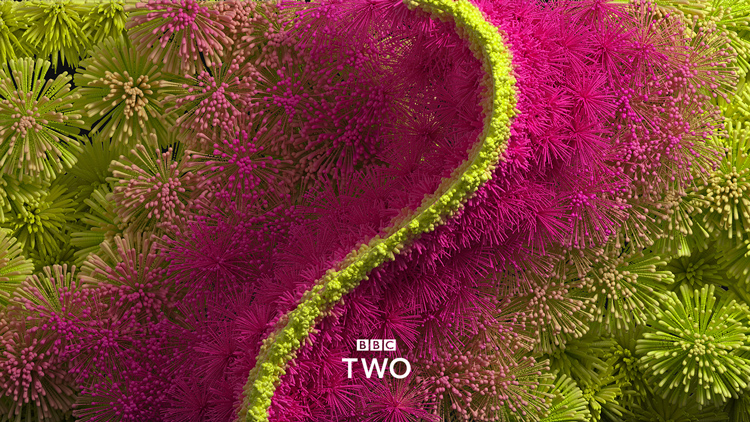 BBC Two rebrands for first time in 20 years - Design Week