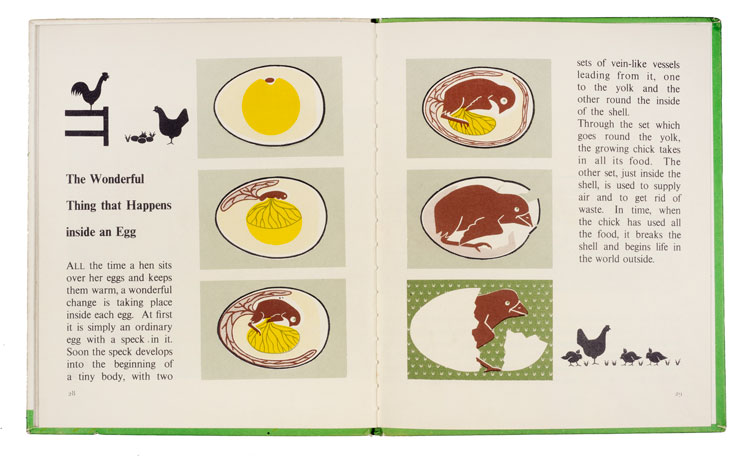 How Marie Neurath helped children understand science through ...