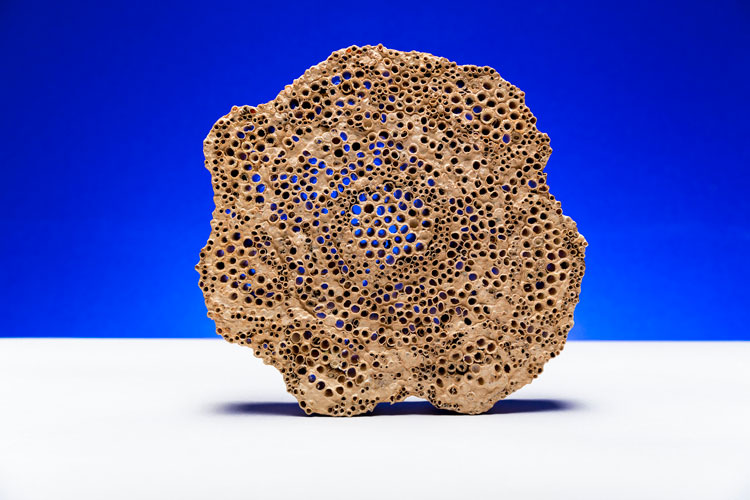 A cookbook with a difference: how to make biomaterials at home - Design ...