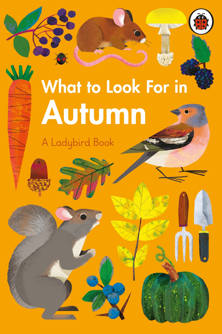How Ladybird’s iconic nature books were updated for a new generation ...