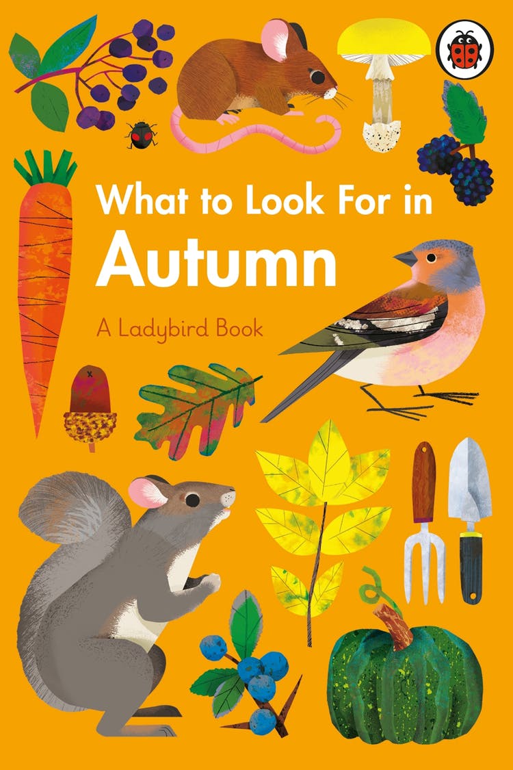 How Ladybird’s iconic nature books were updated for a new generation ...