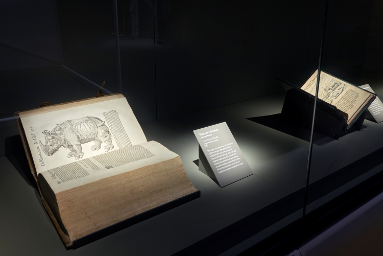 The Lost Rhino exhibition by Alexandra Daisy Ginsberg opens at NHM ...