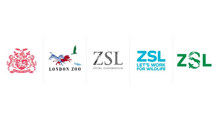 Rbl rebrands ZSL with ecosystem-inspired identity - Design Week