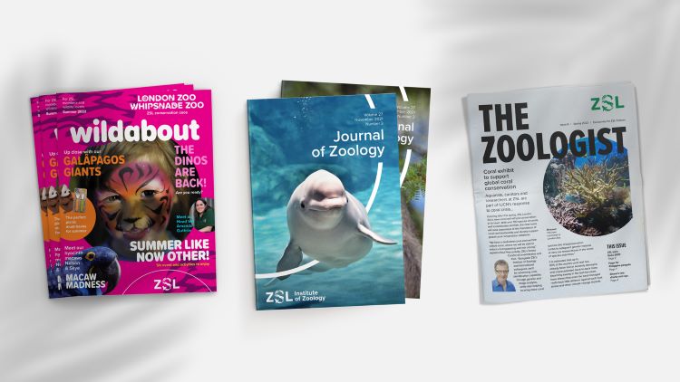 Rbl rebrands ZSL with ecosystem-inspired identity - Design Week