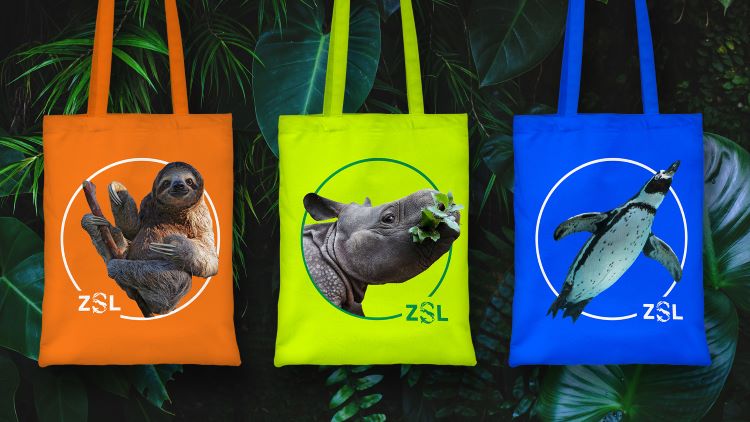 Rbl rebrands ZSL with ecosystem-inspired identity - Design Week
