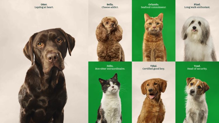 Nomad creates “animalistic” identity for Pets at Home - Design Week