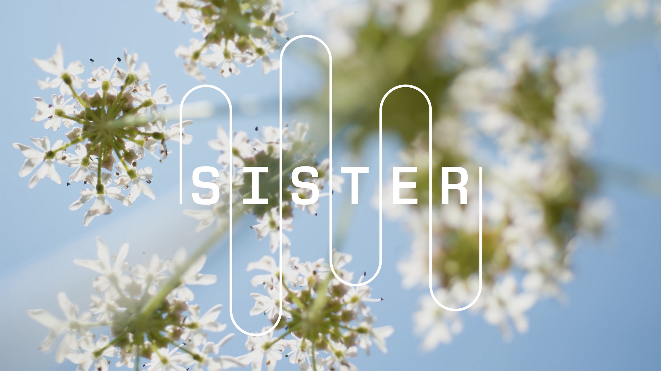 Pentagram brands Manchester’s new innovation hub - Design Week