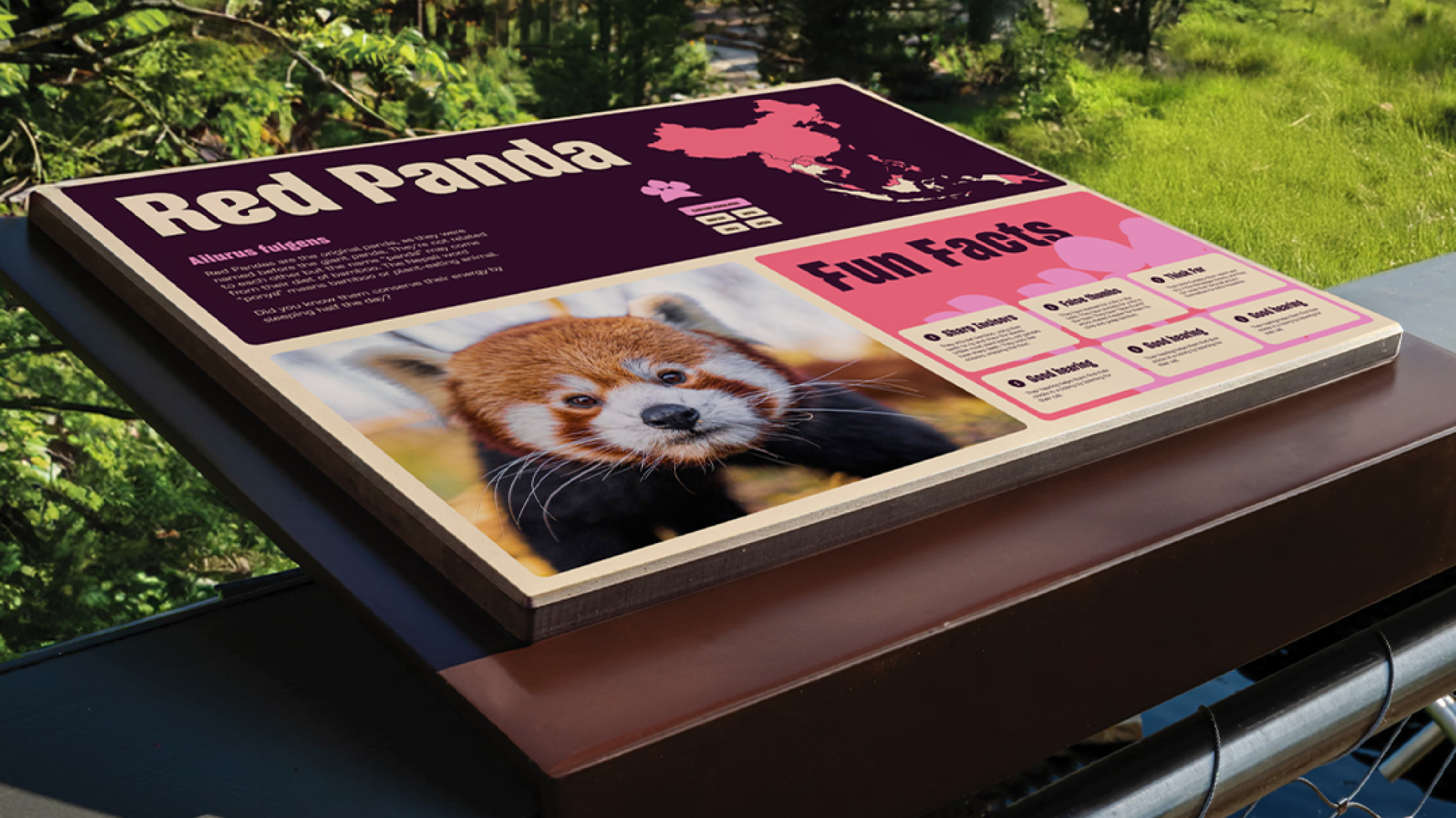 How&How’s Chester Zoo website inspired by streaming platforms - Design Week