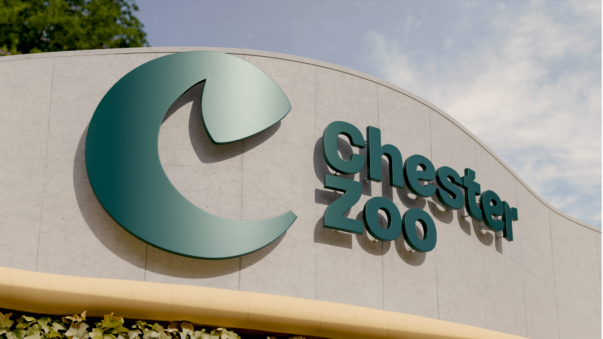 How&How’s Chester Zoo website inspired by streaming platforms - Design Week