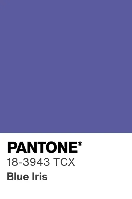 List Of Top Pantone Every Single Pantone Colour Of The Year From 2000